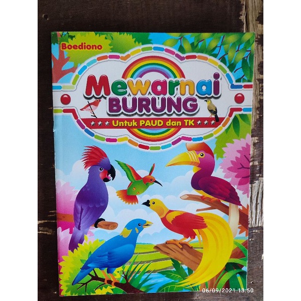Jual Buku Anak Mewarnai Burung Untuk Paud & TK Full Colour | Shopee Indonesia