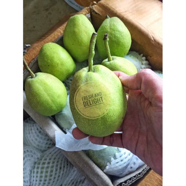 Jual Pear Xiang Lie Packam Manis Premium | Shopee Indonesia