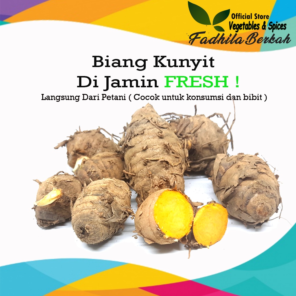 Jual Jahe merah Jahe Gajah Jahe Emprit Kunyit Biang Kunyit temulawak ... Jual Jahe merah Jahe Gajah Jahe Emprit Kunyit Biang Kunyit temulawak ...