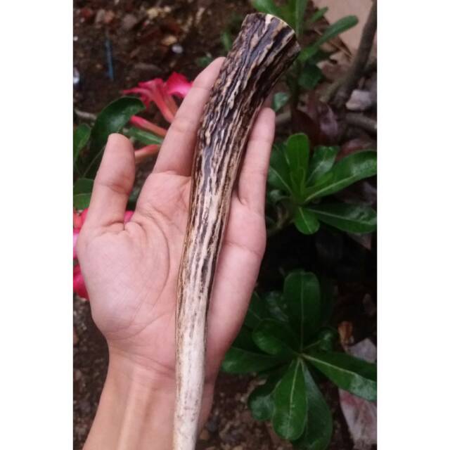 Jual PIPA ROKOK ASLI SIZE 20CM | Shopee Indonesia