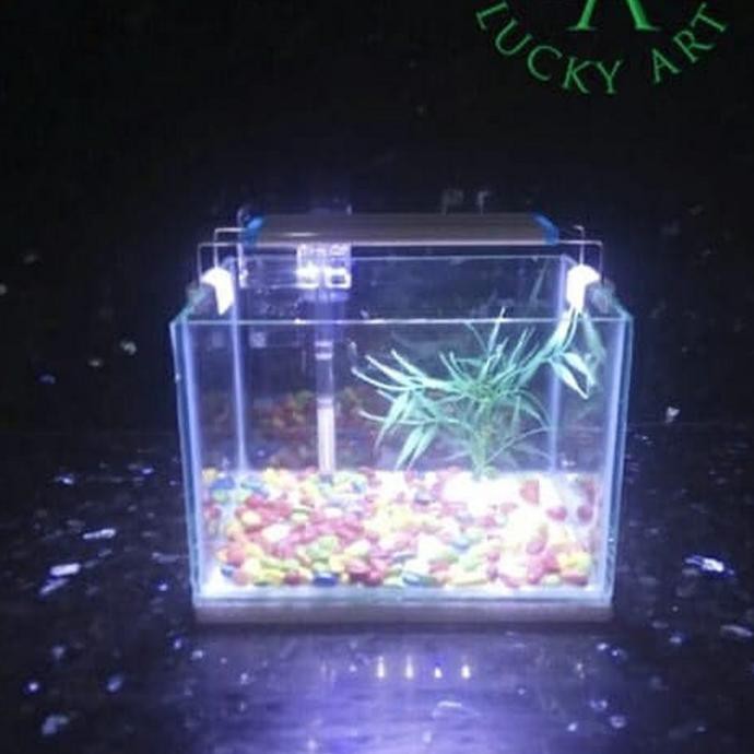 Jual Harga Terbaik Aquarium Mini Fullset | Shopee Indonesia
