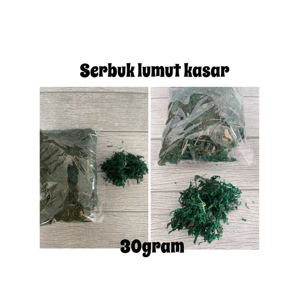 Jual Serbuk lumut / serbuk rumput 30gr | Shopee Indonesia