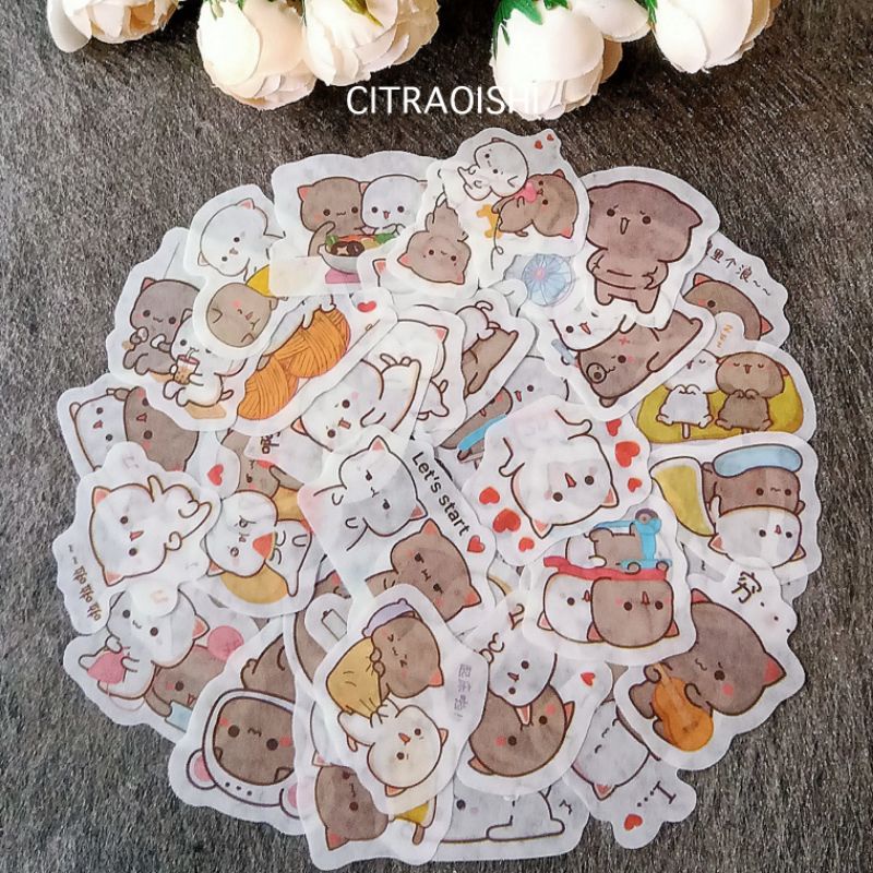Jual Stiker Kucing | Shopee Indonesia