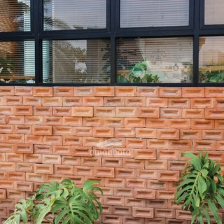 Jual Bata Expose Absolute | Shopee Indonesia