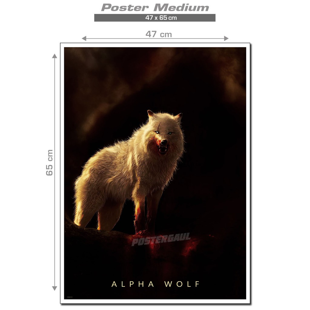 Jual Poster Medium ARTWORK SATWA : SERIGALA ALPHA #FJP266 - ukuran 47 x ...