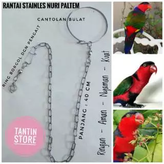 Jual Burung Nuri Kepala Terlengkap & Harga Terbaru Juni 2024 | Shopee ...