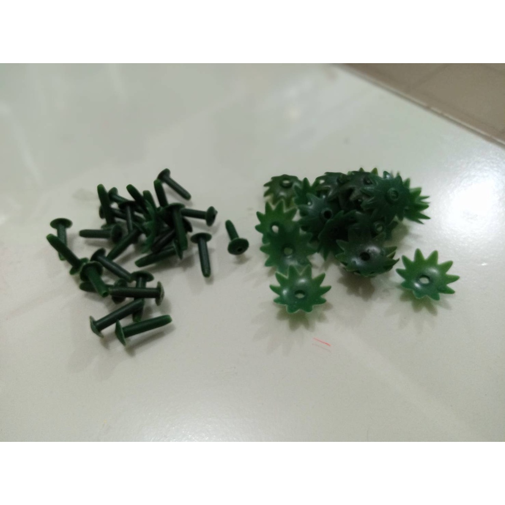 Jual Inti dan Paku Bunga Suyok / Bunga Papan / Rakit Suyok / Inti Suyok ...