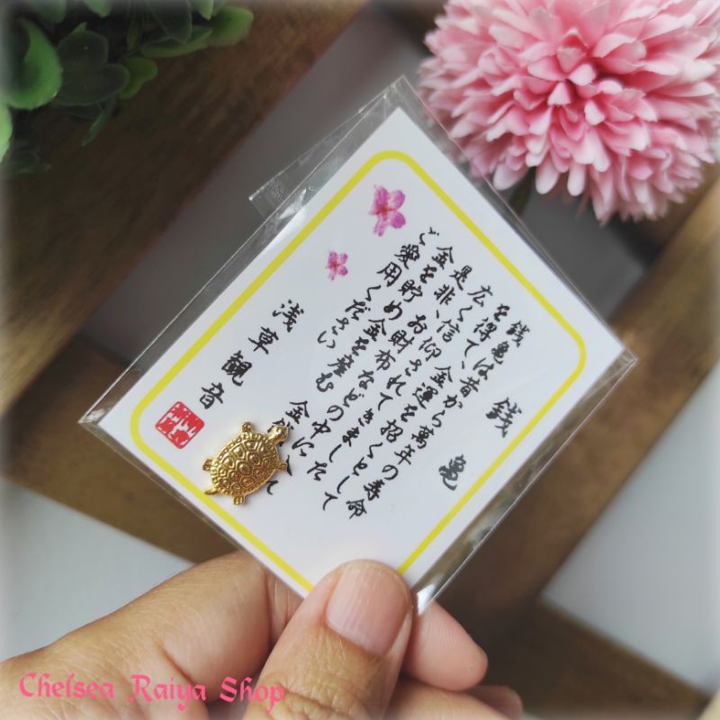 Jual Gold Lucky Turtle Kura-kura Emas Jepang 1 pcs | Shopee Indonesia