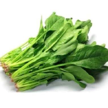 Jual Horenso organik / bayam jepang segar / bayam | Shopee Indonesia