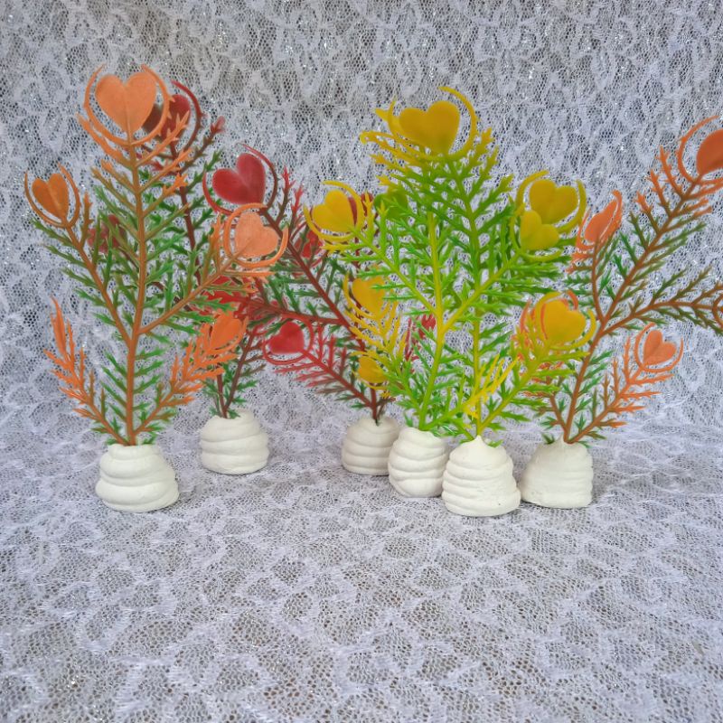 Jual Daun Merak Love | Shopee Indonesia