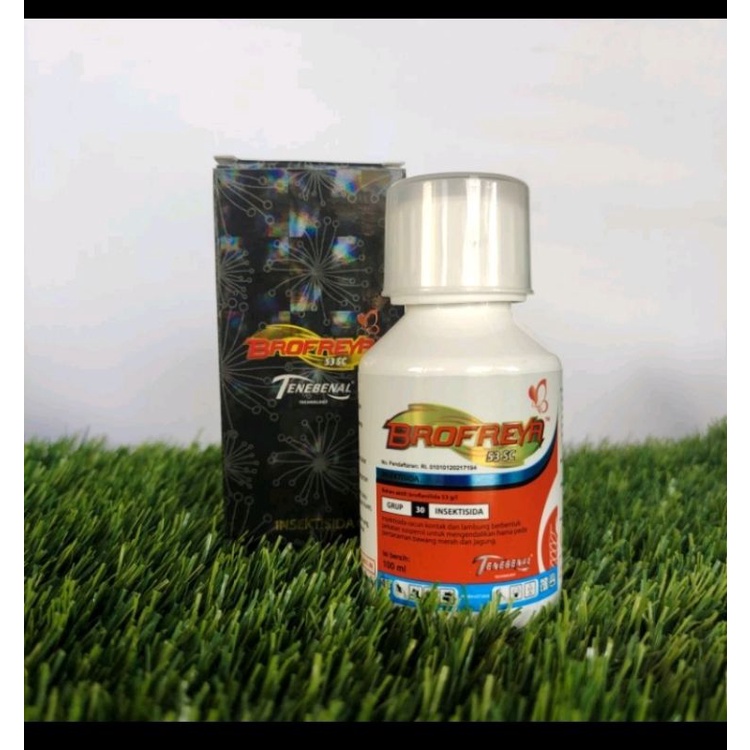Jual brofreya 100 ml | Shopee Indonesia