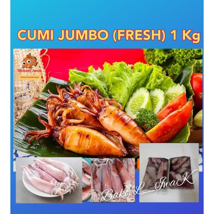 Jual Cumi Medium (FRESH) Masih ada tinta (1 Kg) | Shopee Indonesia