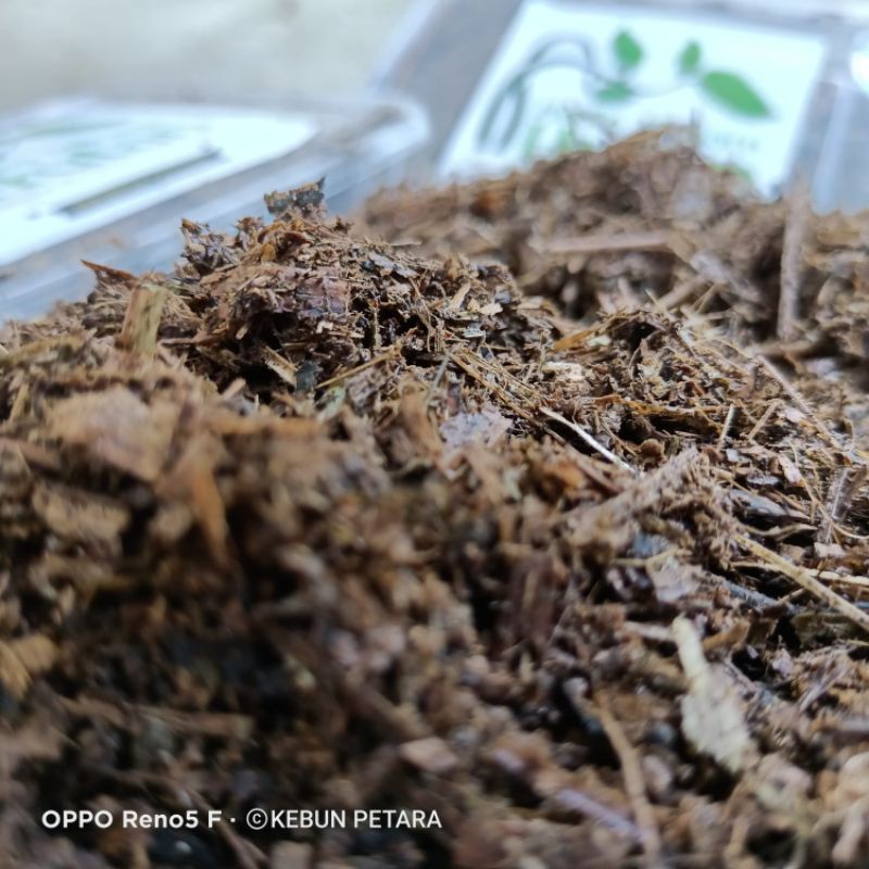 Jual daun bambu halus, humus bambu, andam bambu, media alami,media ...