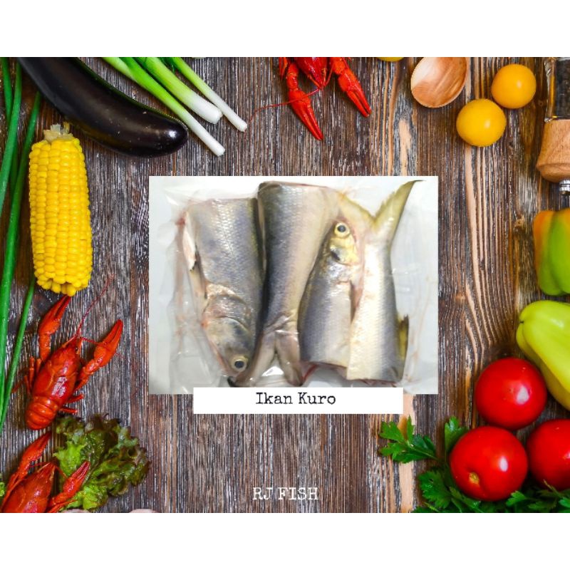 Jual Ikan Kuro / Ikan Senangin Fresh Beku RJ Fish | Shopee Indonesia