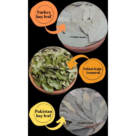 Jual Daun salamkoja kering daun temurui daun kari kering daun kolestrol ...
