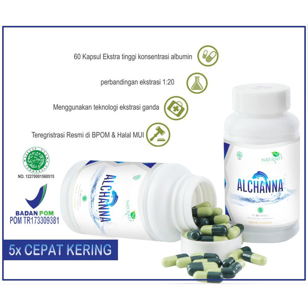 Jual Kapsul Albumin Ikan Gabus Premium Ikan Kutuk - Obat Penyembuh Luka Pasca Operasi Caesar ...