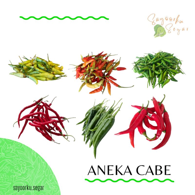Jual KIRIM BESOK Cabe rawit merah / Cabe merah besar / Cabe Hijau besar ...