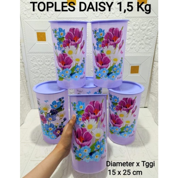 Jual Toples Daisy Viola Ukuran 1,5 Kg | Shopee Indonesia