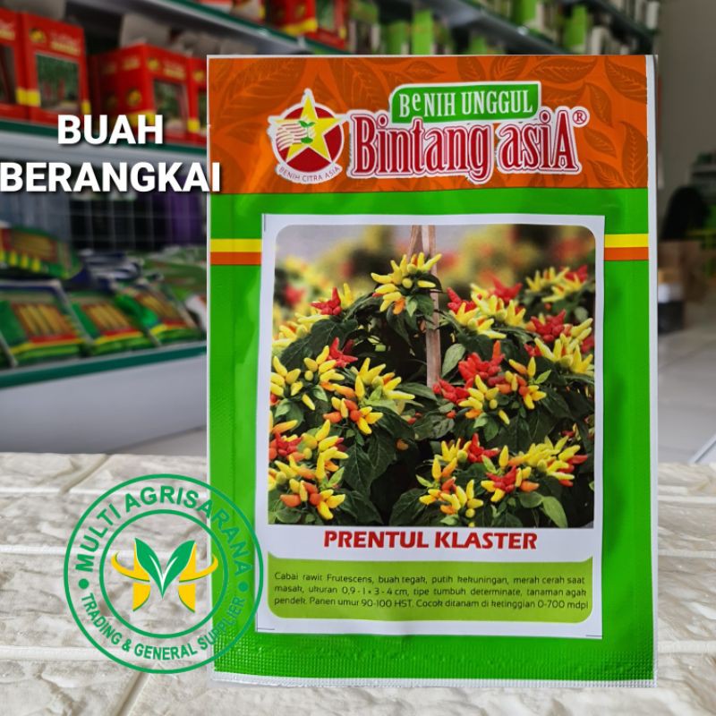 Jual Isi 10gr Benih Cabe Rawit PRENTUL KLASTER Buah Berangkai | Shopee ...