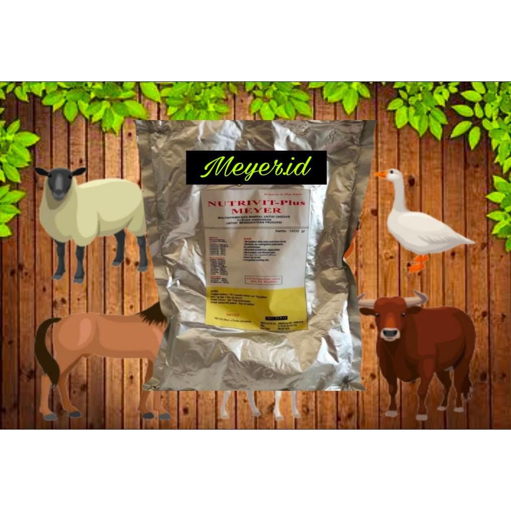 Jual Nutrivit Plus Meyer 1KG - Multivitamin dan mineral (pemacu ...