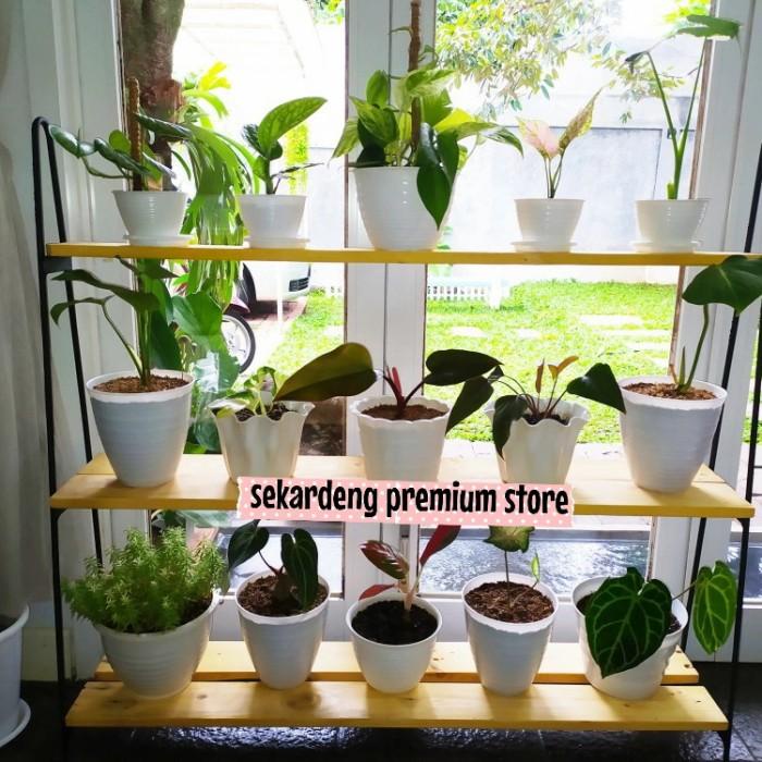 Jual Rack | Rak Bunga Susun Besi Kayu Tingkat Minimalis Tanaman Hias ...