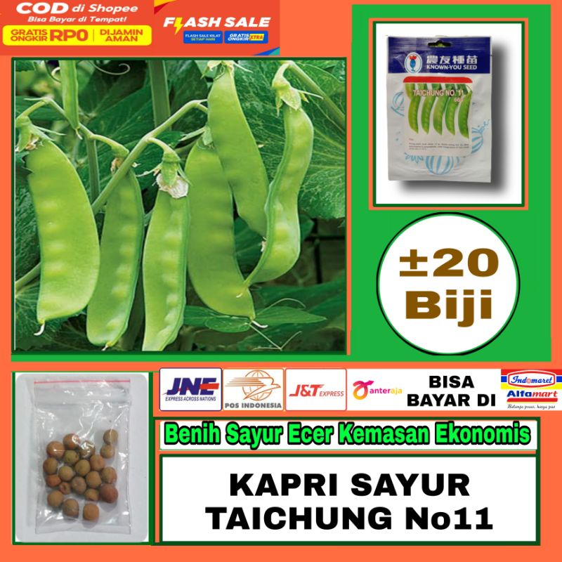 Jual 20 Biji Benih Kapri Sayur Kwon You Seed Kemasan Ekonomis | Shopee ...