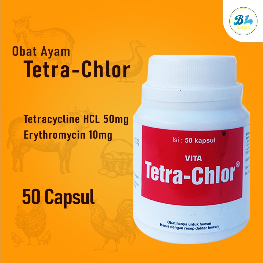 Jual Vita Tetrachlor Obat Untuk Ayam Bebek Sakit Pilek CRD 50 Kapsul ...
