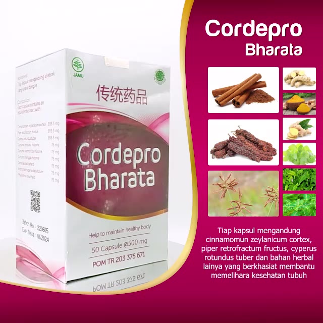 Jual Obat Paru Paru Premium Ampuh Original CORDEPRO BHARATA | Obat TBC ...