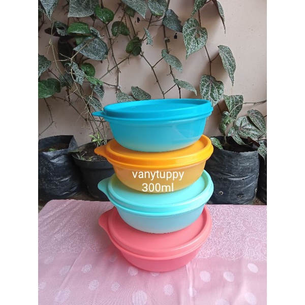 Jual Mangkuk junior modular bowl 300ml Tupperware mangkok MP asi ...