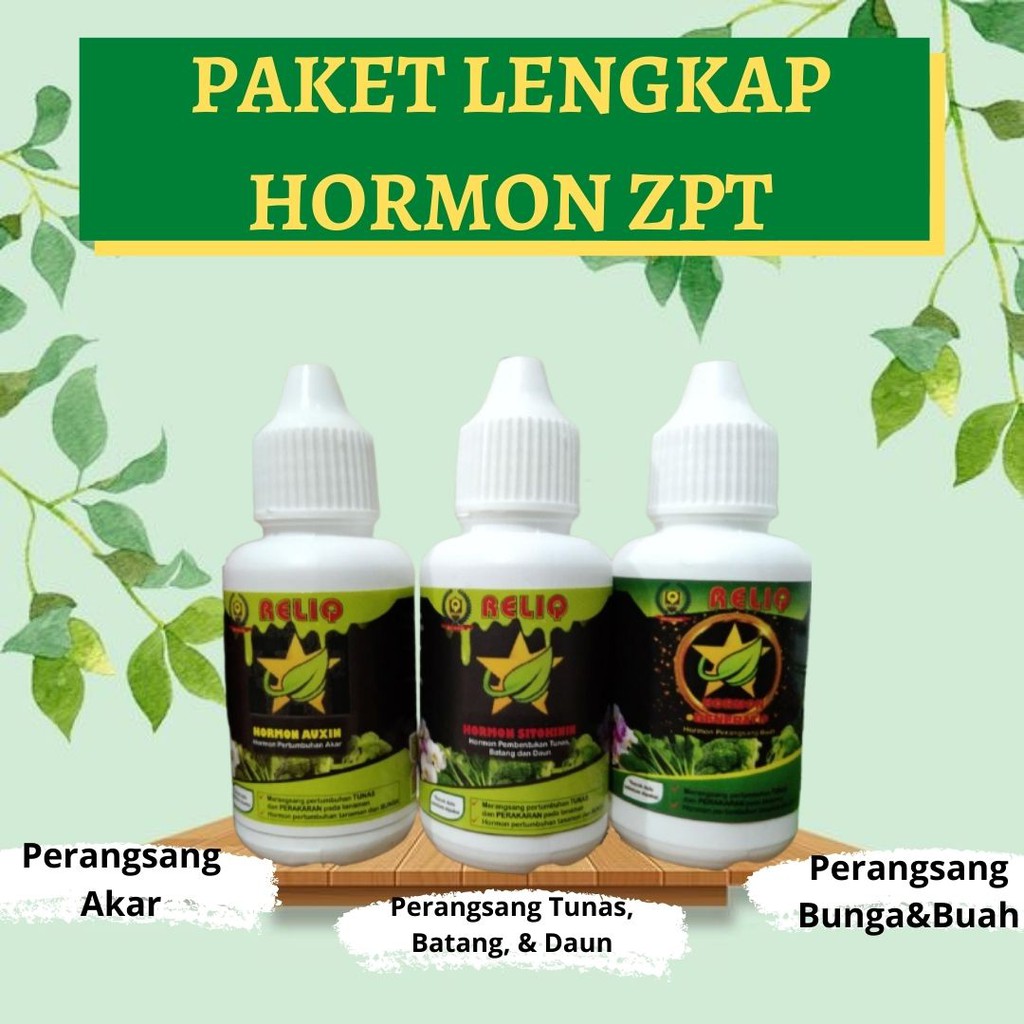Jual Paket Lengkap Hormon Tanaman Lengkap, Paket Hormon Varigata Auksin ...