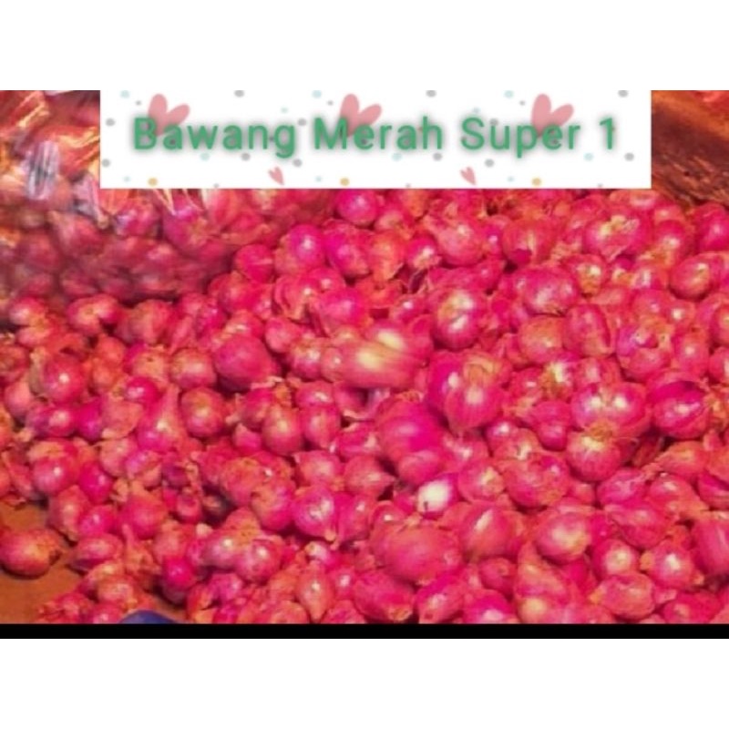 Jual Bawang Merah Super 1Kg | Shopee Indonesia