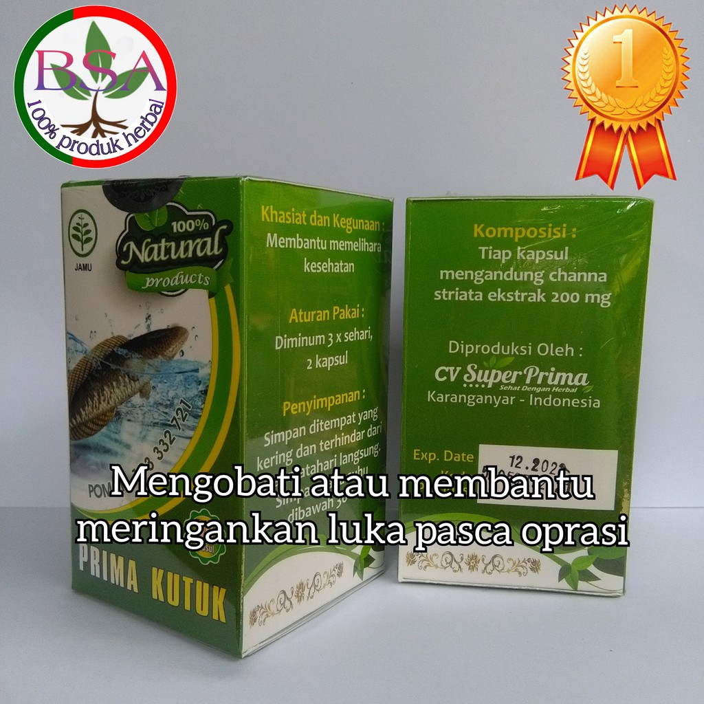 Jual sari ikan kutuk/gabus PRIMA KUTUK untuk penyembuhan luka pasca operasi isi 60 kapsul ...