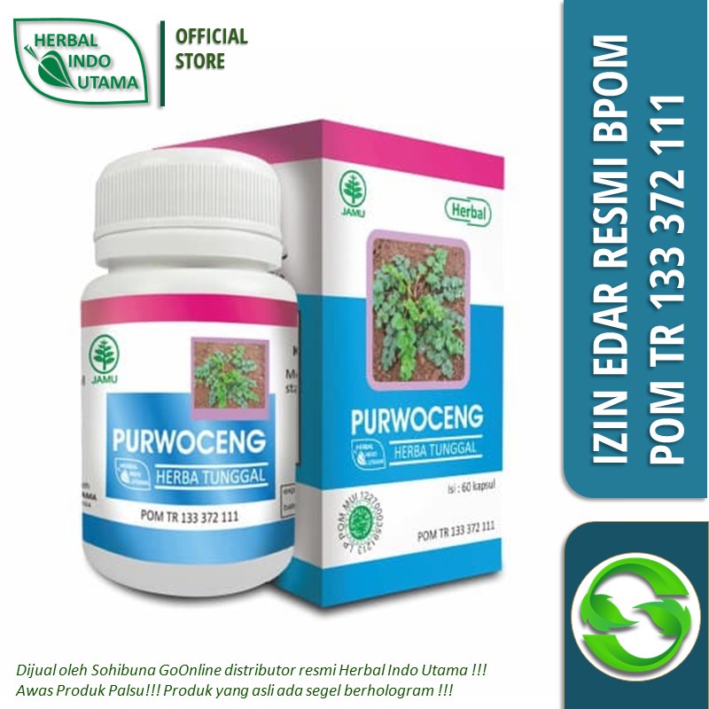 Jual HERBAL INDO UTAMA Purwoceng Obat Herbal Terdaftar BPOM | Shopee ...