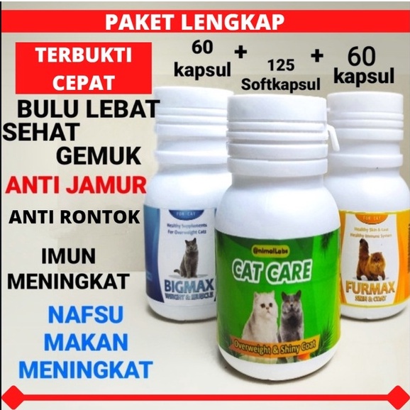 Jual VITAMIN KUCING NAFSU MAKAN KURUS OBAT GEMUK KUCING PENGGEMUK SEHAT ... Jual VITAMIN KUCING NAFSU MAKAN KURUS OBAT GEMUK KUCING PENGGEMUK SEHAT ...