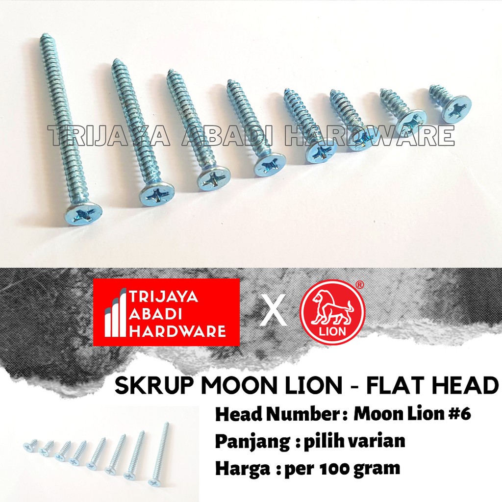 Jual Skrup Moon Lion #6 Flat Head Tap Screw | Shopee Indonesia