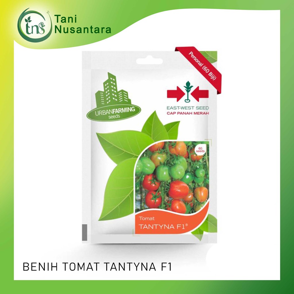 Jual Benih Tomat Tantyna F1 Panah Merah POS | Shopee Indonesia