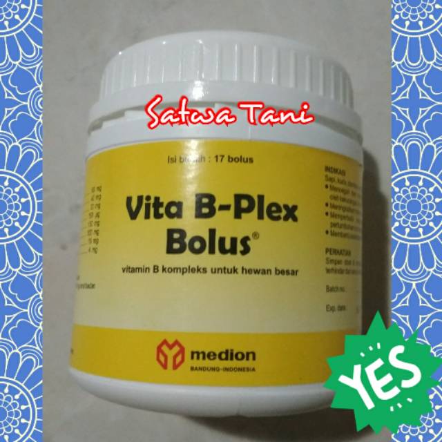 Jual VITA B-PLEX BOLUS isi 17 bolus | Shopee Indonesia