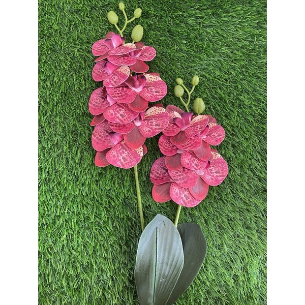 Jual ANGGREK VAS GOLD CABANG 8 /BUNGA ANGGREK LATEX BEST SELLER ...