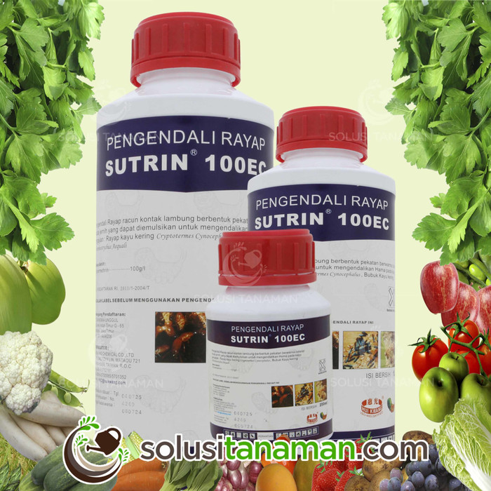 Jual READY - PESTISIDA PENGENDALI RAYAP SUTRIN @500ML OBAT HAMA ...
