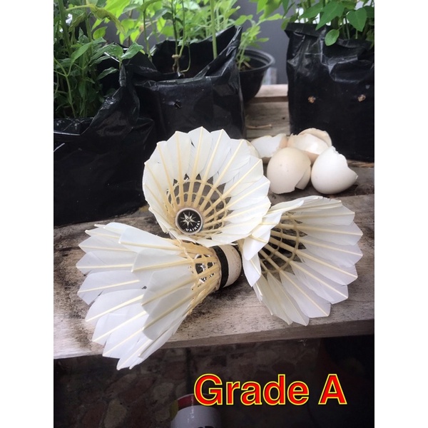 Jual Shuttlecock Badminton / Kok Bulutangkis Murah (Harga per PCS ...