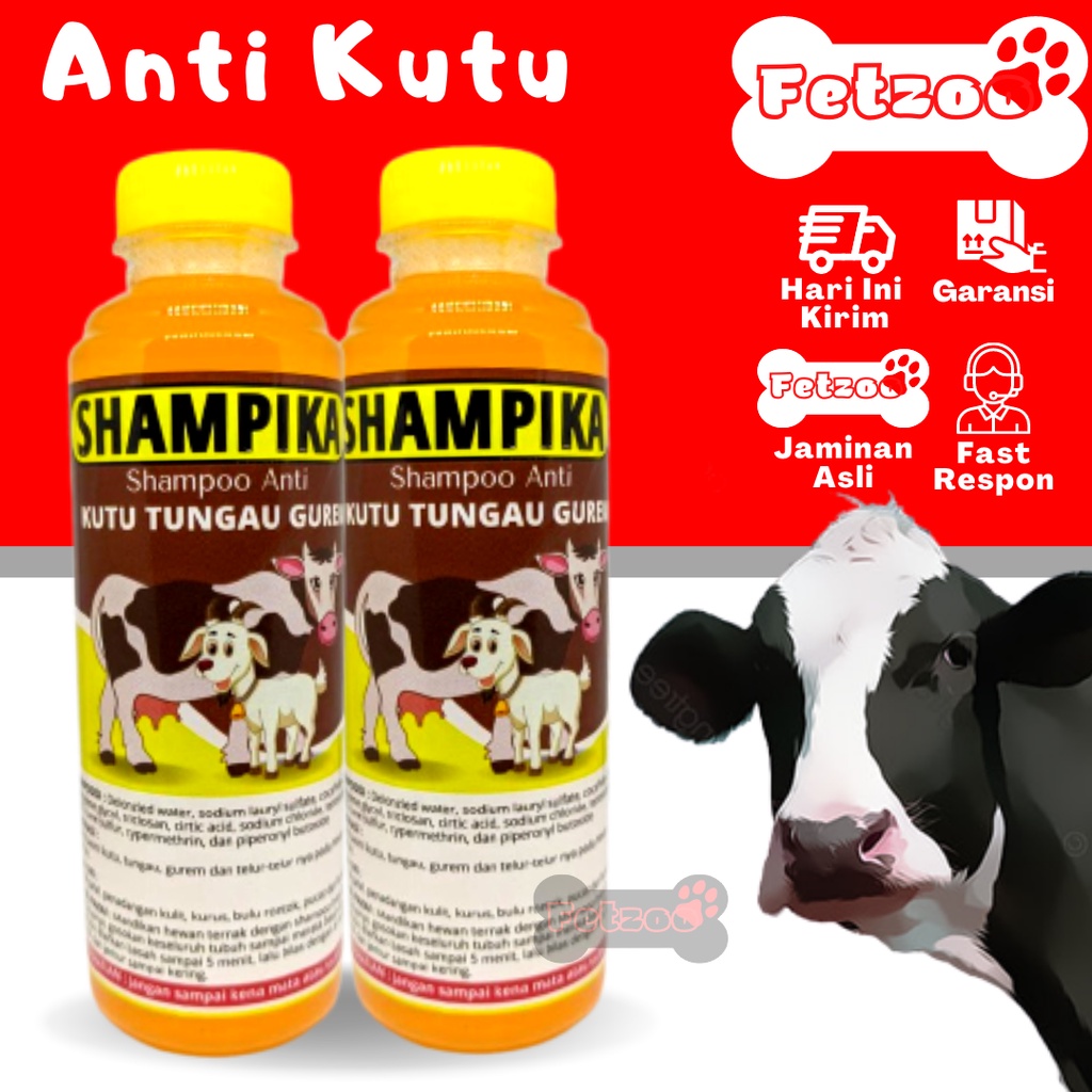 Jual Shampoo Anti Kutu, Tungau Pada Sapi Dan Kambing SHAMPIKA Terbukti ...