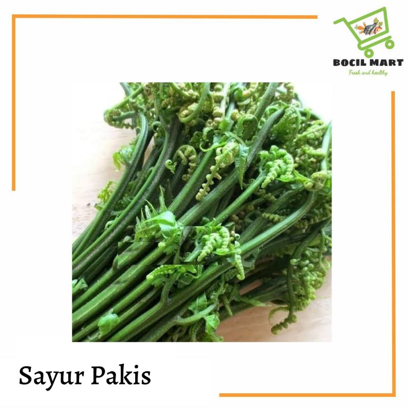 Jual SAYUR PAKIS 1 IKAT BOCIL MART | Shopee Indonesia