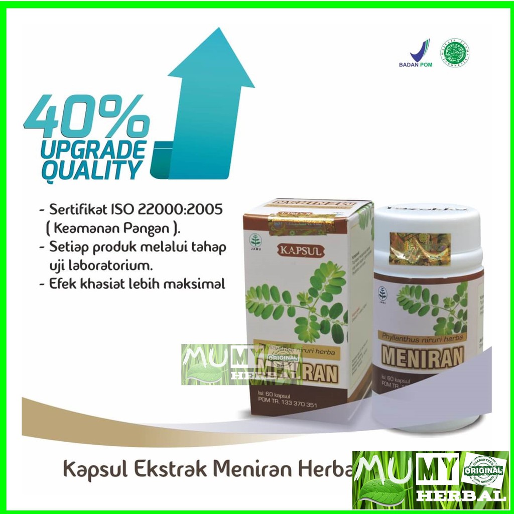 Jual Kapsul Meniran Tazakka Peningkat Imunitas Tubuh dan Anti Bakteri ...