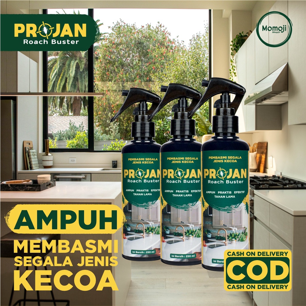 Jual Obat Pembasmi Kecoak Anti Kecoa Pembunuh Kecoa Paket 3 Botol ...