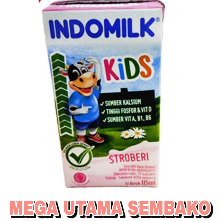 Jual indomilk kids susu uht rasa coklat dan strawberry perdus isi ( 40 pcs x 115 ml ) | Shopee ...
