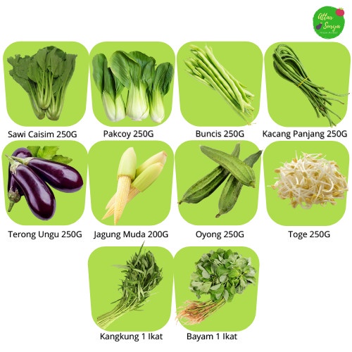 Jual PAKET 10 SAYUR SEGAR | Shopee Indonesia