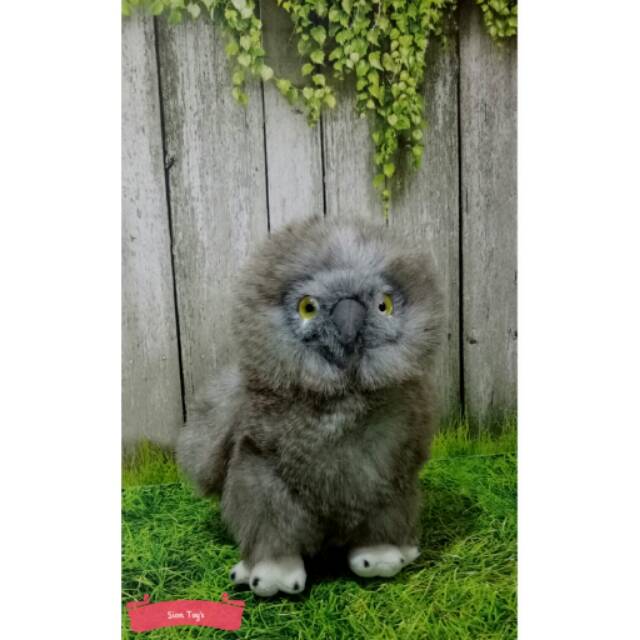 Jual Boneka Burung Hantu Celepuk Reban (Sunda Scops OWL) | Shopee Indonesia