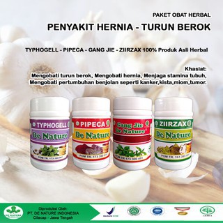Jual Obat hernia - tedun - turun berok - radang biji pelir - radang ...