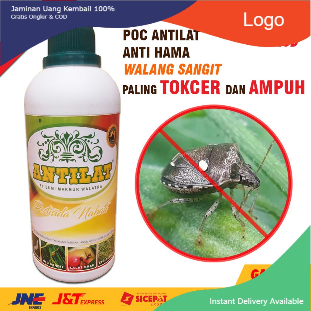 Jual Insektisida Pestisida Organik Obat Hama ANTILAT Pembasmi Walang ...