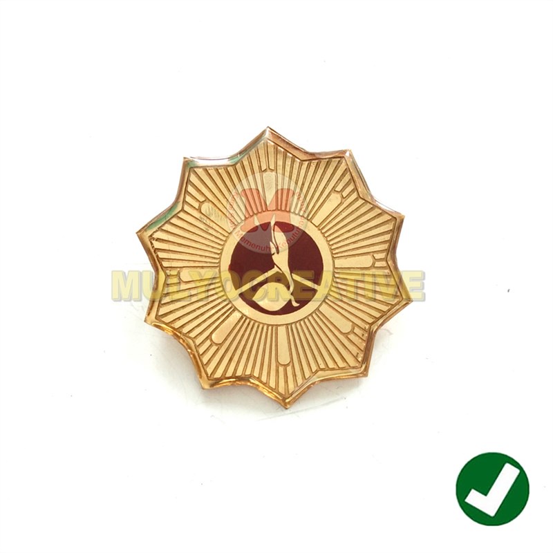Jual Pin Pembina Pramuka Pandega Murah - Lencana Pin Tanda Jabatan ...